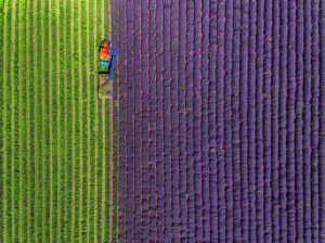 Drone Photography by Bulgarian Pilot ‘Valentin Valkov’ | Drone Below