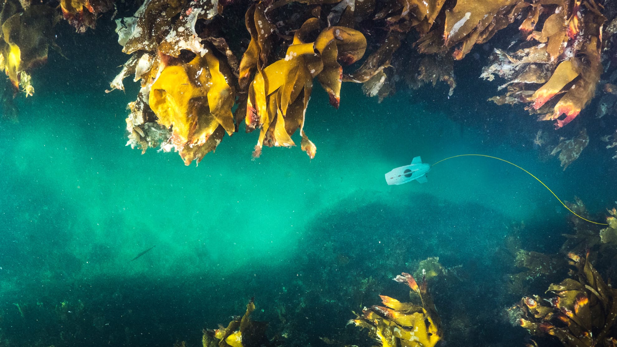 Blueye Pioneer Underwater Drone: A Disruptive Entry into the ROV World ...