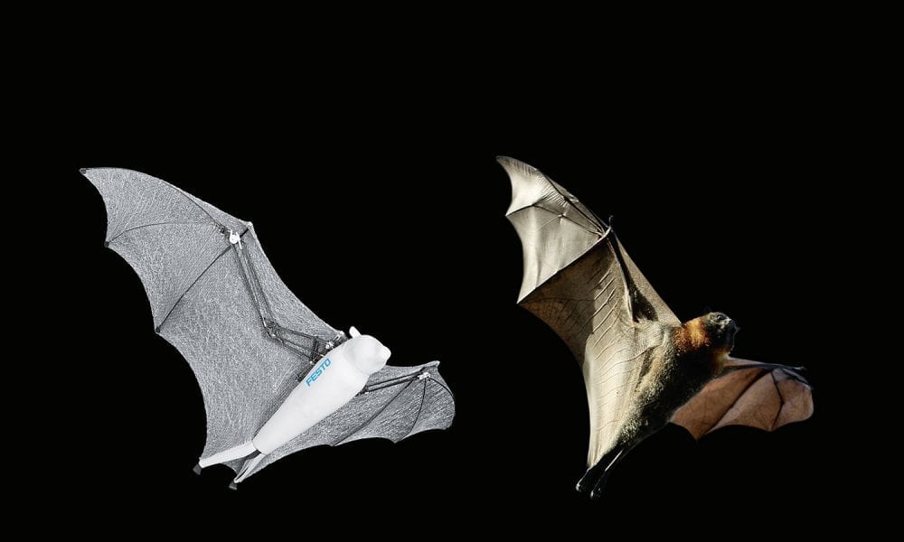 This Smart Bionic Bat Drone Can Create Its Own Flight Path | Drone Below