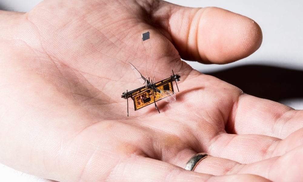 Meet RoboFly - A Wireless Flying Robotic Insect | Drone Below