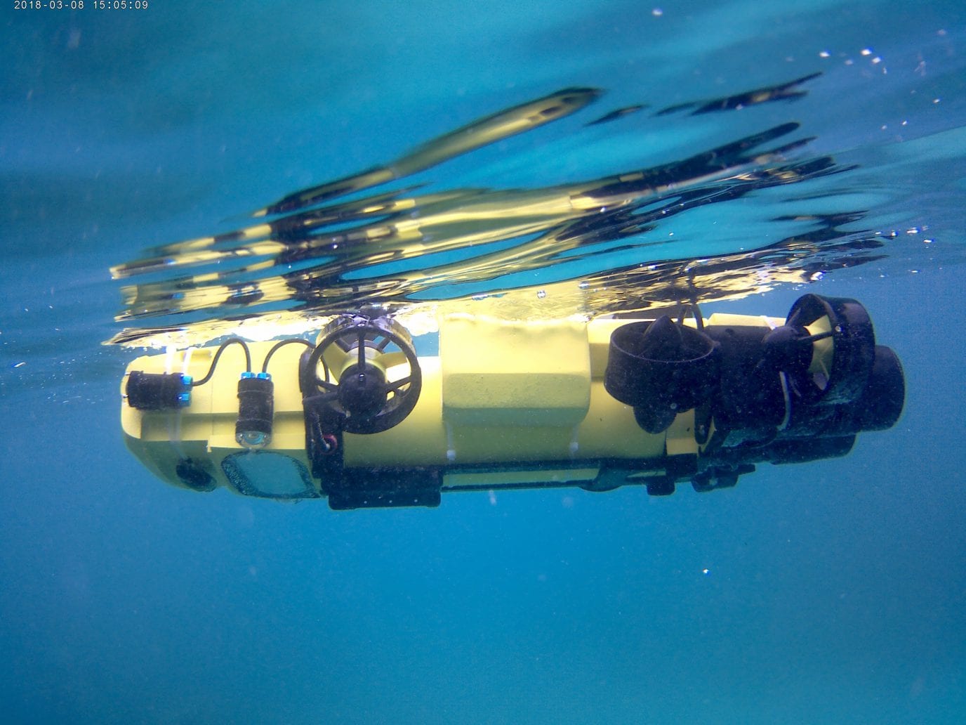 RangerBot Underwater Drone Kills Starfish in Mission to Save Great ...