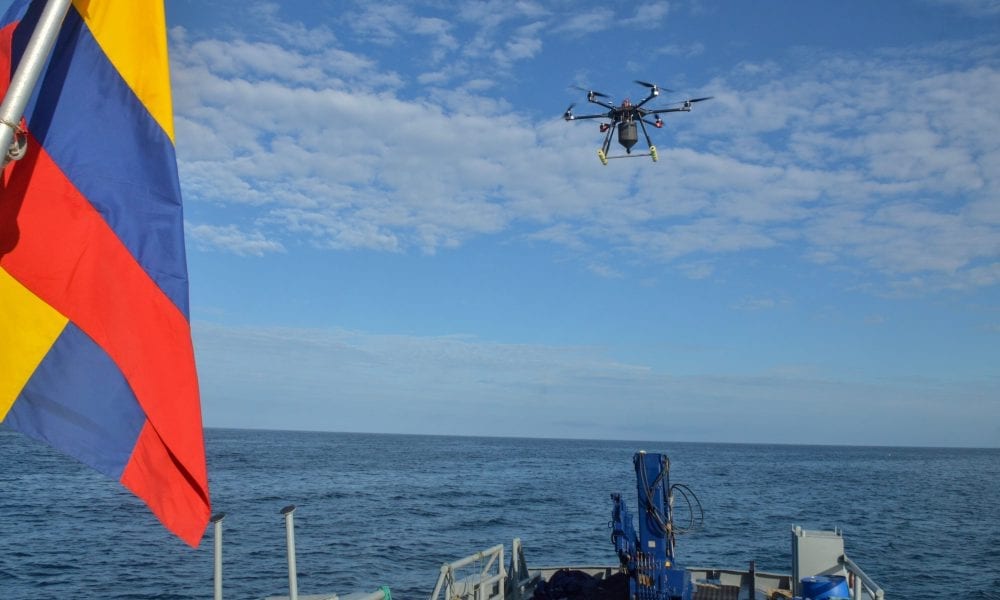 World’s First Use of Drones to Remove Invasive Rats | Drone Below