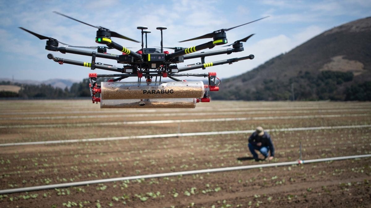 Precision Biological Pest Control via Drone | Drone Below