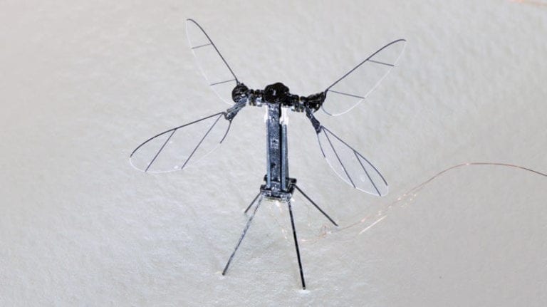 Tiny Solar-Powered, Bioinspired Drone from MIT | Drone Below